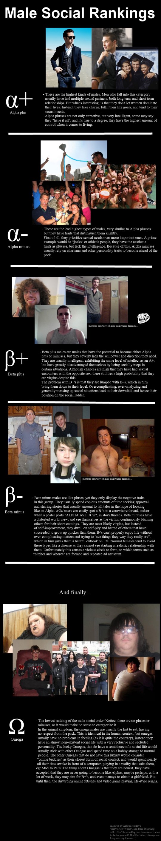 male-alpha-ranks – MoPo Geek