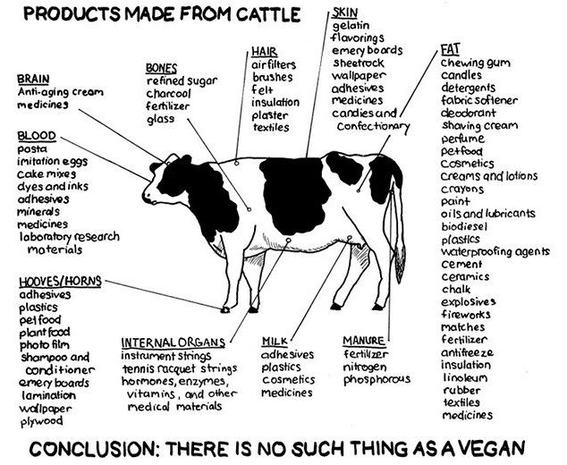 vegan-cow – MoPo Geek