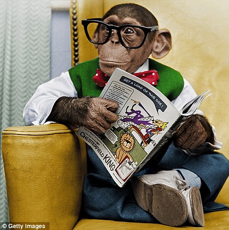 monkey – MoPo Geek