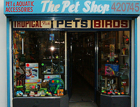 San Francisco To Outlaw Pet Stores – MoPo Geek