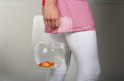 Walking the Gold Fish – MoPo Geek